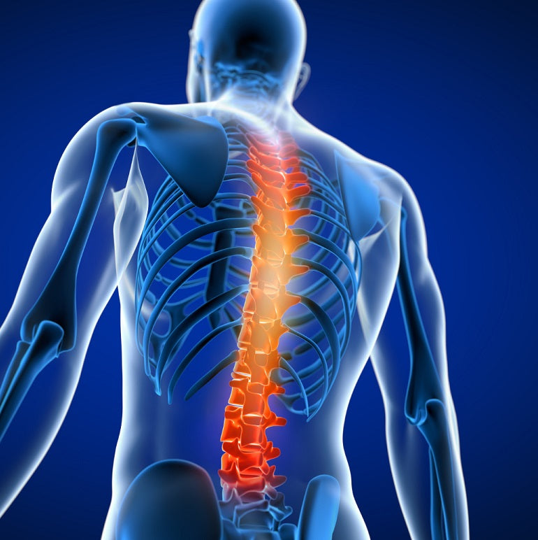 Back Care Awareness Week: How to Relieve Pain – Ability Superstore