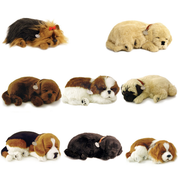 Precious Pets - Puppies – Ability Superstore