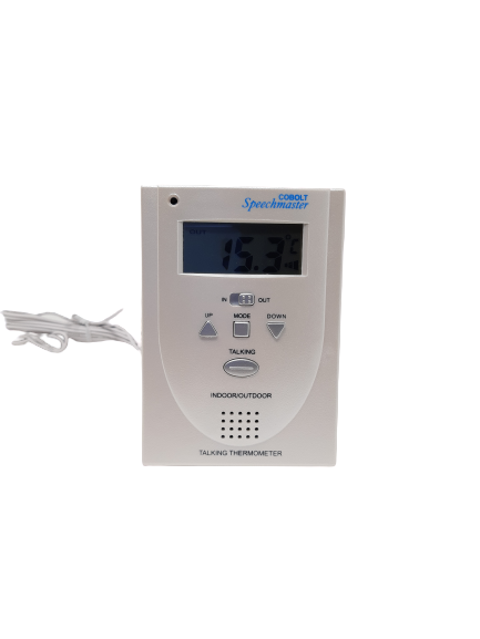 Talking Indoor/Outdoor Temperature Thermometer Vision Aid – Ability ...